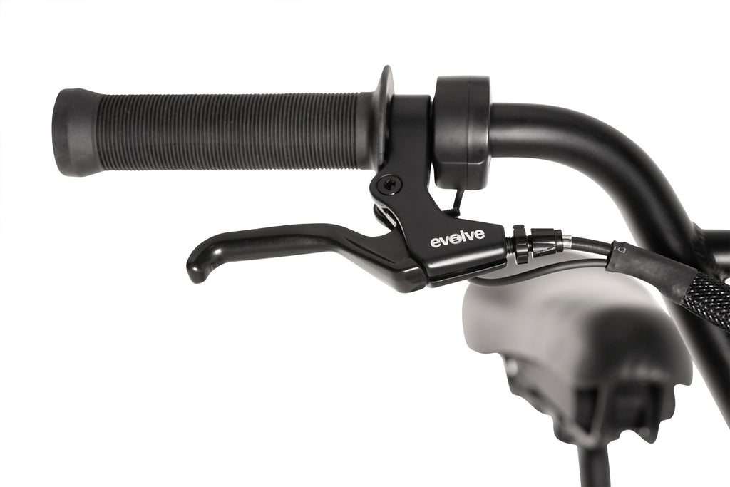 Discover Project Bmx At Evolve Your Electric Cruiser